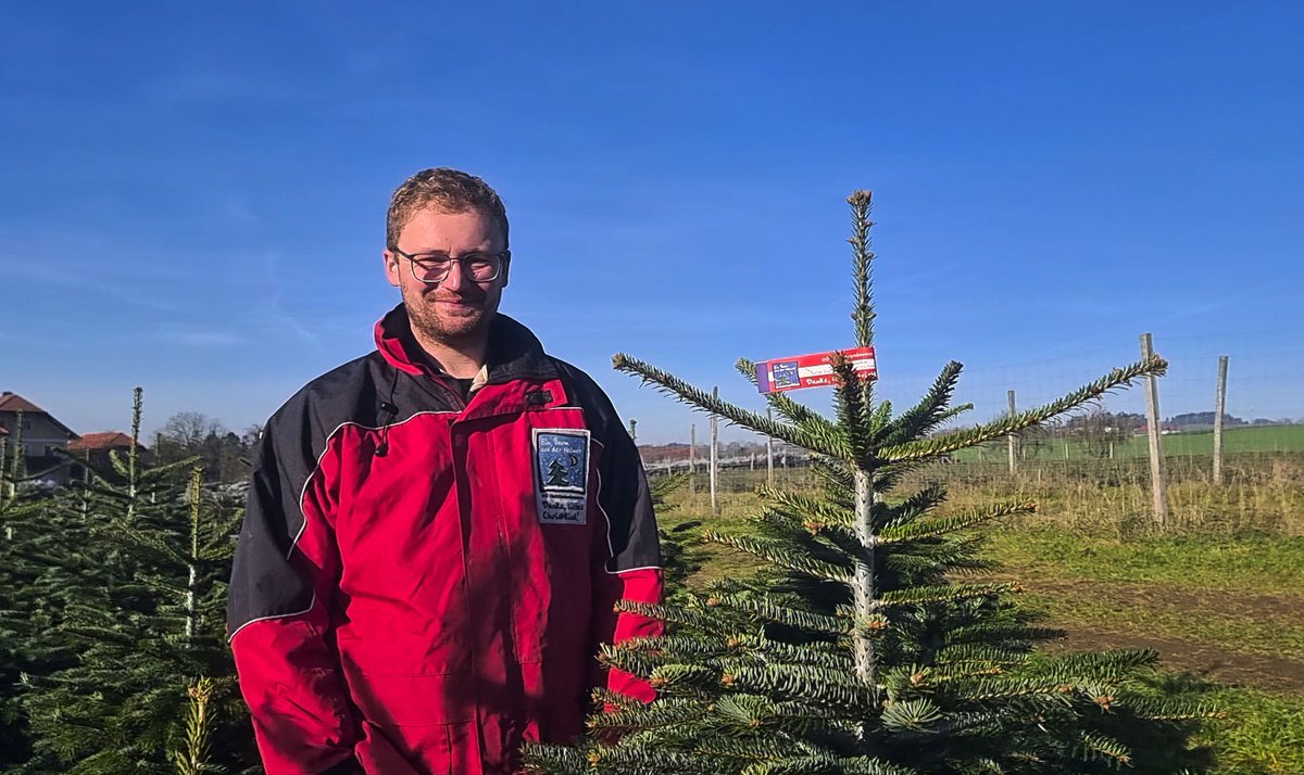 Christbaum vom Bauern aus der Region - Christbäume aus Österreich
